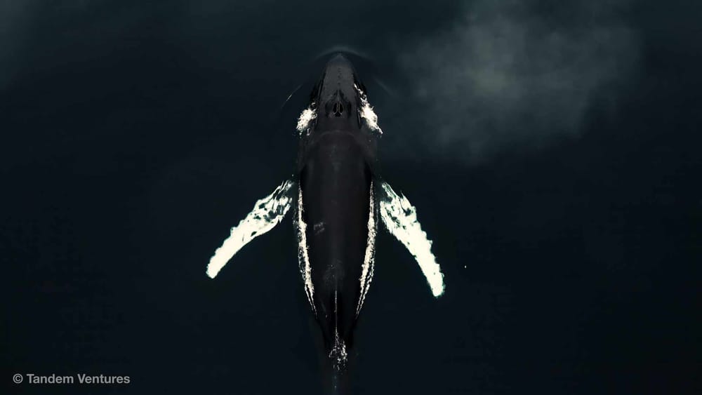 三帝瑪3DMart-3D列印機 / 3D掃描 / 3D列印材料 / 3D代工列印